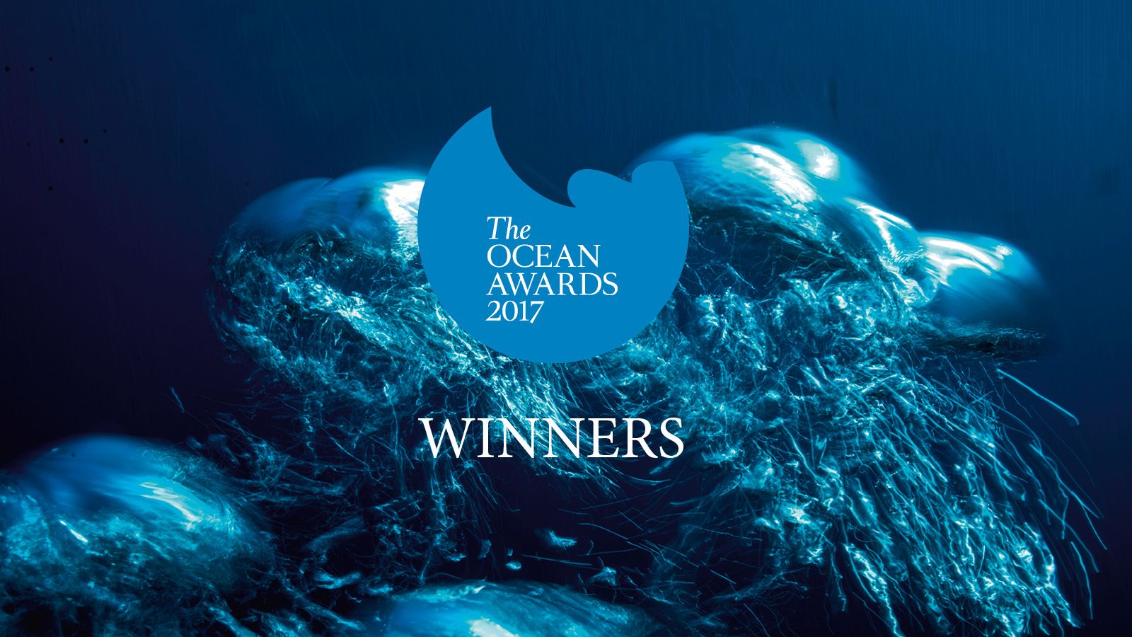 The winners of the Ocean Awards 2017